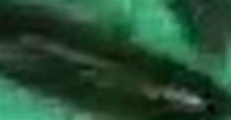 Parse Outputlayersinfo For Resnet Classificator Deepstream Sdk Nvidia Developer Forums