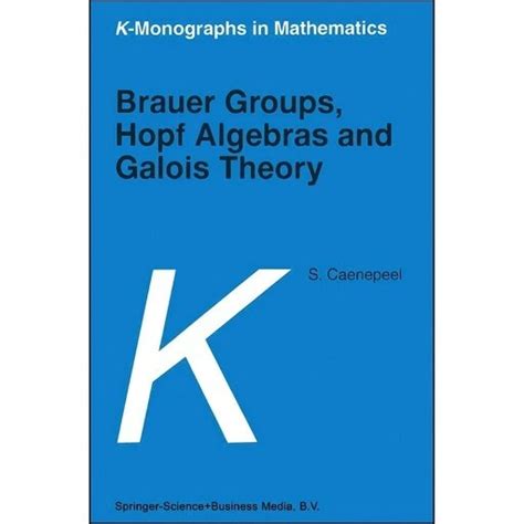 خرید و قیمت کتاب زبان اصلی Brauer Groups Hopf Algebras And Galois