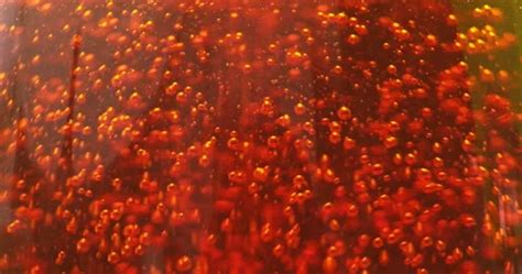 Bubble Engine Stock Footage Royalty Free Stock Videos Pond