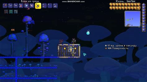 КАК ЗАСЕЛИТЬ ТРЮФЕЛЯ И СОЗДАТЬ ГРИБНОЙ БИОМ В ИГРЕ Terraria читать