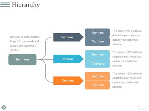 Hierarchy Ppt Powerpoint Presentation Layouts Background Image