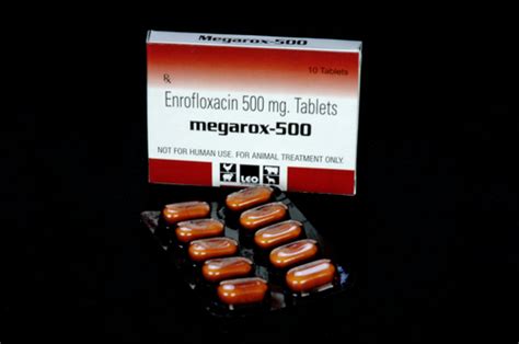 Bio Enrofloxacin 100 Enrofloxacin Oral Solution Enrofloxacin Oral