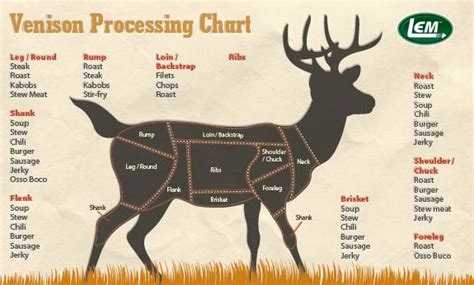 Whitetail Deer Butchering Diagram How To Butcher A Deer Hind Quarter