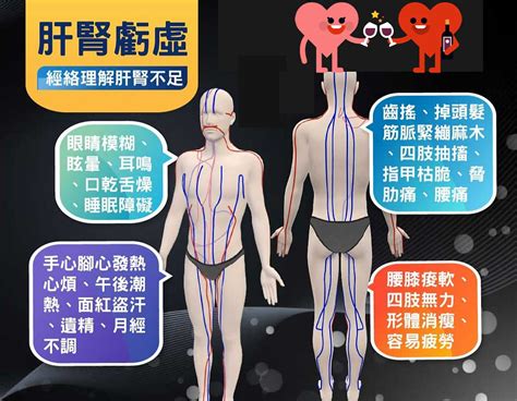 七寶美髯丹的功效與禁忌