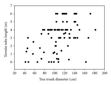 Relationship Between Tree Trunk Diameter Measured 15 M Above The