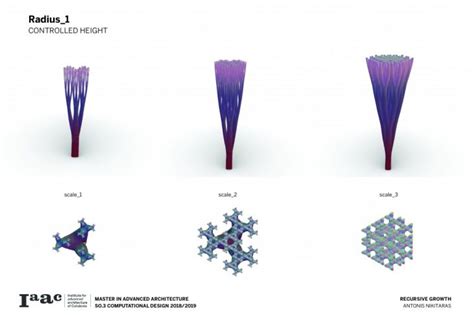 Recursive Growth Bifurcation Structures Conceived As Branching