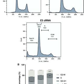 A The Assessment Of The Cell Cycle By Flow Cytometry The Cell Cycle Download Scientific