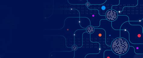 Burp Suite Professional Portswigger