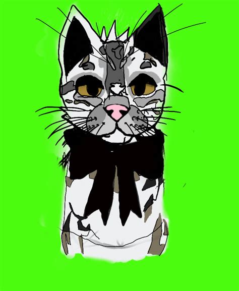 Speckled Fur By Skythebug On Deviantart