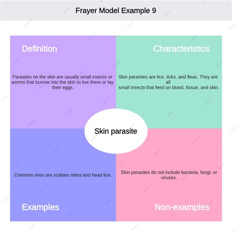 Everything About Frayer Model Examples Included