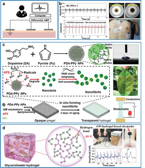 Pda‐based Flexible Electrophysiological Sensors A The Assembly Of Download Scientific Diagram