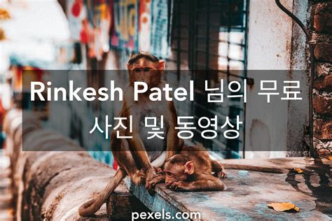 Rinkesh Patel 사진