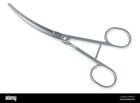 Surgical Medical Scissors Curved 3d Rendering Isolated On White