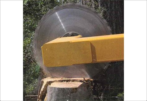 Montezuma Tree Saw Steel Werks Llc