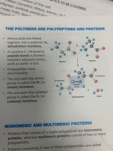 Cell Biology Chapter 3 Flashcards Quizlet