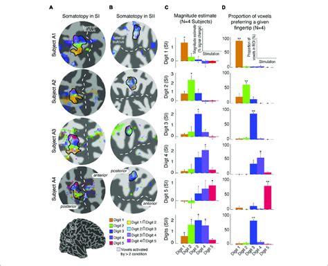 Results From The Digit Mapping Glm Analysis A Superposition Of