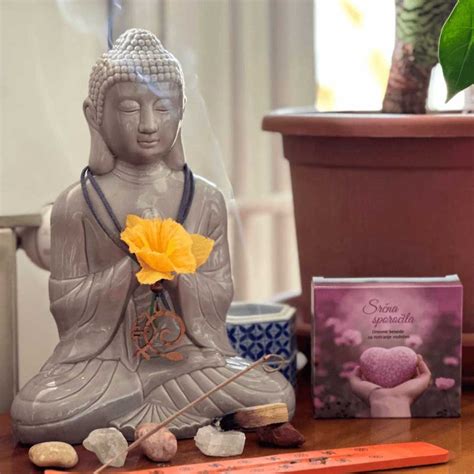 Srčne Karte Neli Rep Dnevna Sporočila Za Notranje Vodstvo Neli Rep