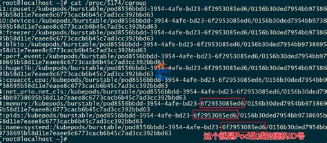在kubernetes集群中使用pid查找对应的pod容器程序的方法 浅时光博客