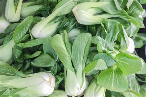 How To Identify And Treat Bok Choy Diseases