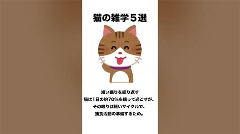 【面白い雑学】猫の雑学1 Youtube