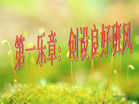 主题班会：班风校风主题班会课课件共42张ppt 21世纪教育网