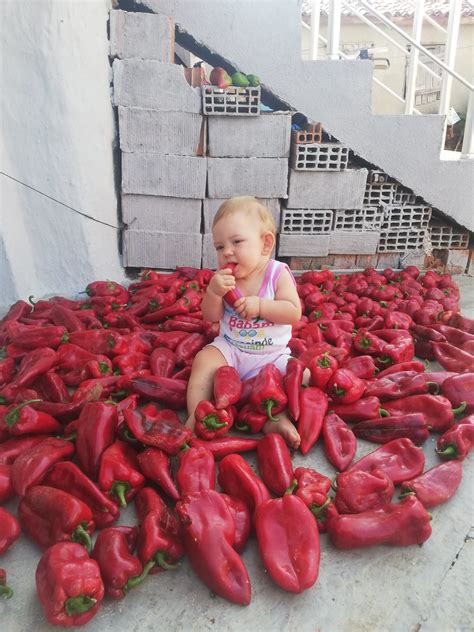 Img20240825165734 Dav Ayşenur Tınmaz Flickr