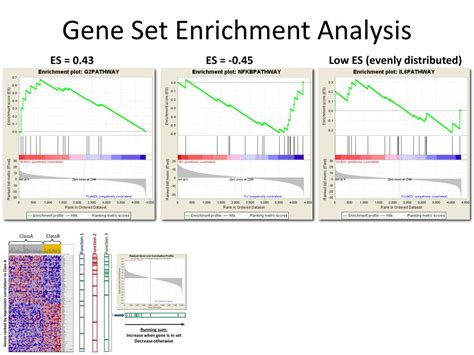 Ppt Gene Set Enrichment Analysis Powerpoint Presentation Free