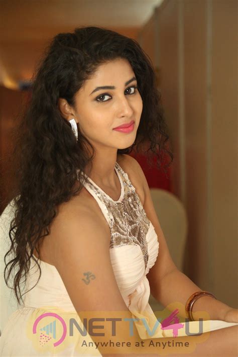 Actress Pavani Reddy Latest Stills 162062 Galleries And Hd Images