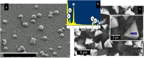 Sem Micrograph Of Copper Electrodeposited From 005 M Cu 2 In 005 M H
