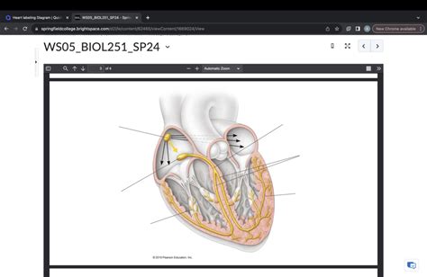 Heart Labeling 3 Diagram Quizlet
