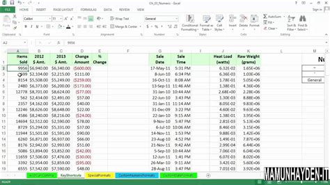 Microsoft Excel Tutorial Essential Numeric Formatting Keystroke Shortcuts Youtube
