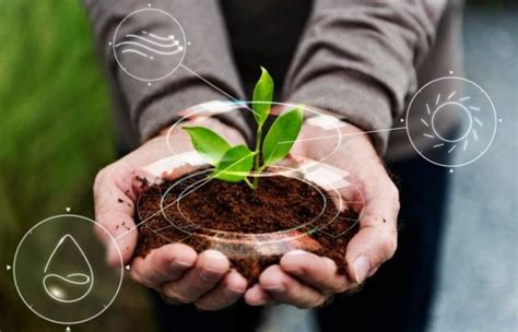 وزارة البيئة حظر نشر الدراسات البيئية دون ترخيص رسمي