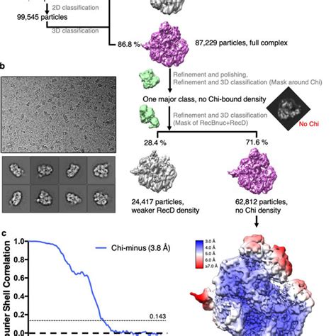 Cryoem Processing Flow Chart Chi Containing Substrate A Scheme Download Scientific Diagram