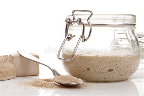 Different Types Of Yeast Stock Image Image Of Copyspace