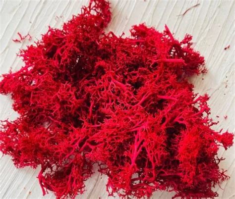 Red Sea Grass Resin Art World