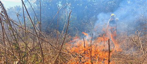 Incendios Forestales En Honduras En 2025 Afectan Más De 900 Hectáreas