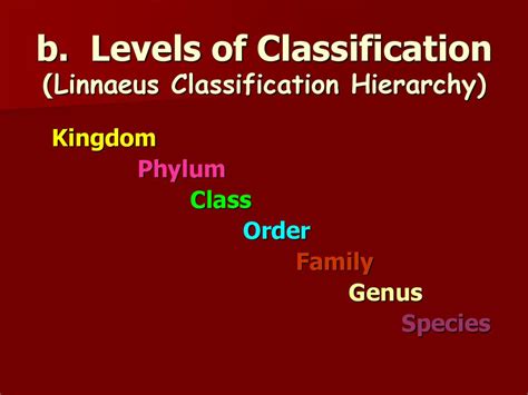 Levels Of Classification Science At Sara Powell Blog