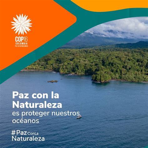 Inicio Pacto Global Red Colombia