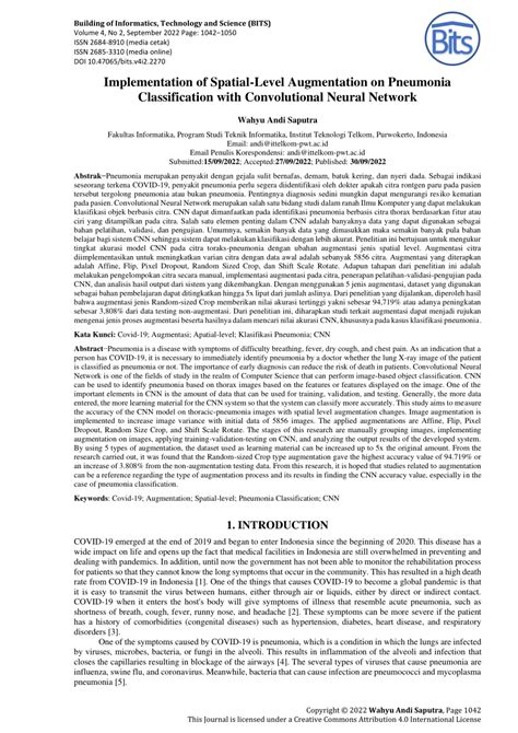 pdf implementation of spatial level augmentation on pneumonia