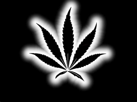 Smoking Weed Girls Wallpapers Wallpaper Cave