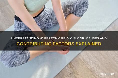 Understanding Hypertonic Pelvic Floor Causes And Contributing Factors Explained Cyvigor