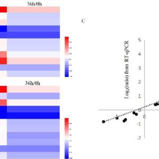 Heatmap Of Unigenes Expression For The Validation Of Quantitative