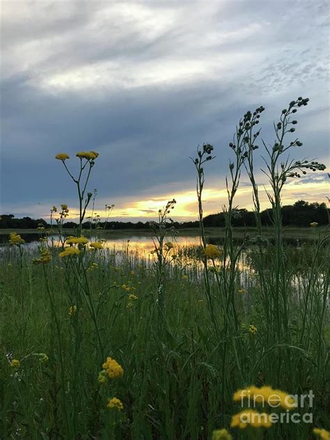 Molopo River Photograph By Iris Carroll Fine Art America