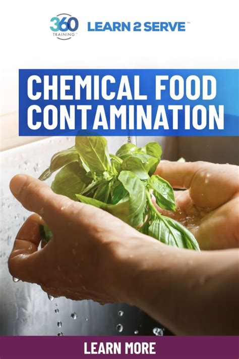 What Are The Four Types Of Food Contamination