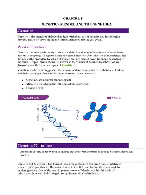 Chapter 5 Genetics Lesson 1 Pdf Gene Genetics