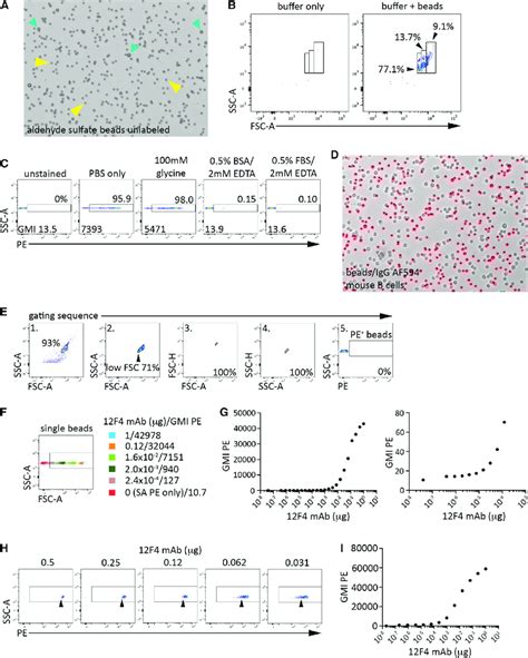 Characterization And Antibody Binding Properties Of Aldehyde Sulfate
