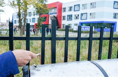 Цаасан дээр л хэрэгждэг тамхины хууль