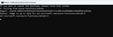 Error Running Func Azure Functionapp Publish Inside Docker