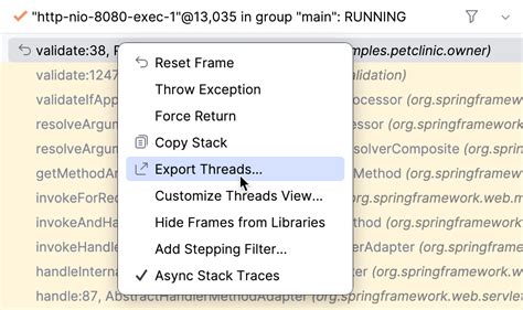 Examine Suspended Program Intellij Idea Documentation