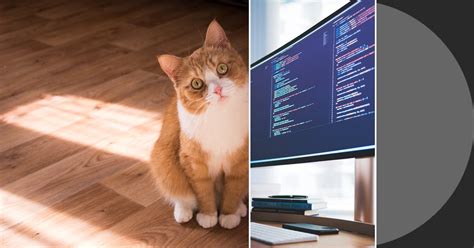 List Javascript Curated By Richard Eason Medium